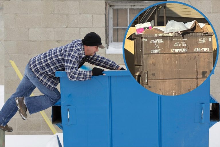 Is Dumpster Diving Legal in Massachusetts? What the Law Says and What ...