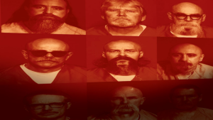 The 5 Deadliest Gangs in Minnesota and Their Growing Influence - The ...