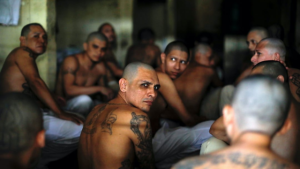 Uncovering Tennessee's Top 5 Gangs: A Deadly Surge in Influence - The ...