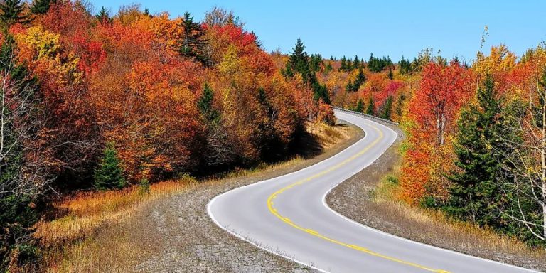 11 Most Scenic Road Trips to Explore the Beauty of West Virginia - The ...