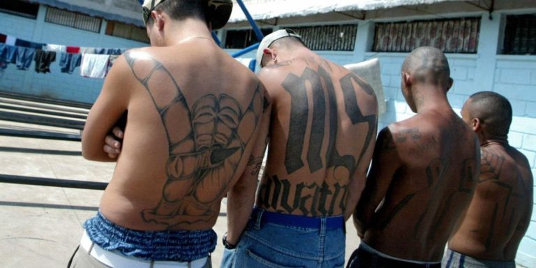 7 Gangs Terrorizing Missouri: Who They Are and Why Residents Should Be ...