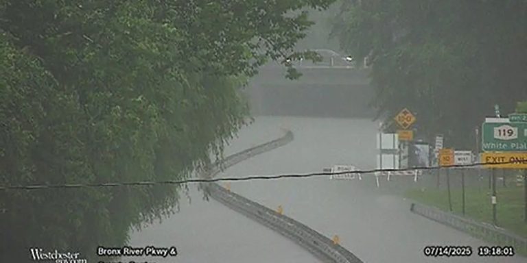 Flash Flooding Paralyzes New York City: Subways Halted, Roads Flooded ...