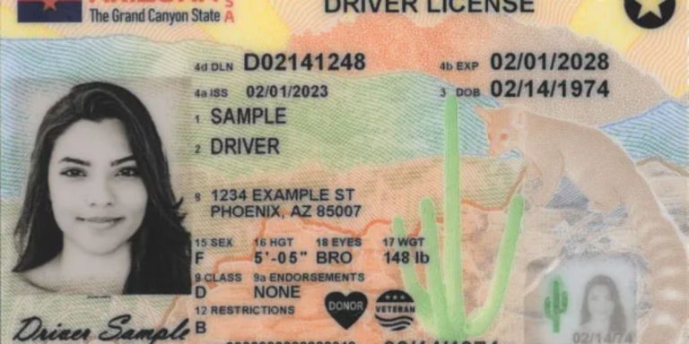 Real ID in Arizona: Check if Your License is Real ID Ready - The Sagonline