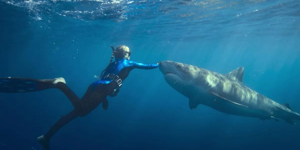 Shark Week 2025: Dates, Host, and Schedule Highlights - The Sagonline