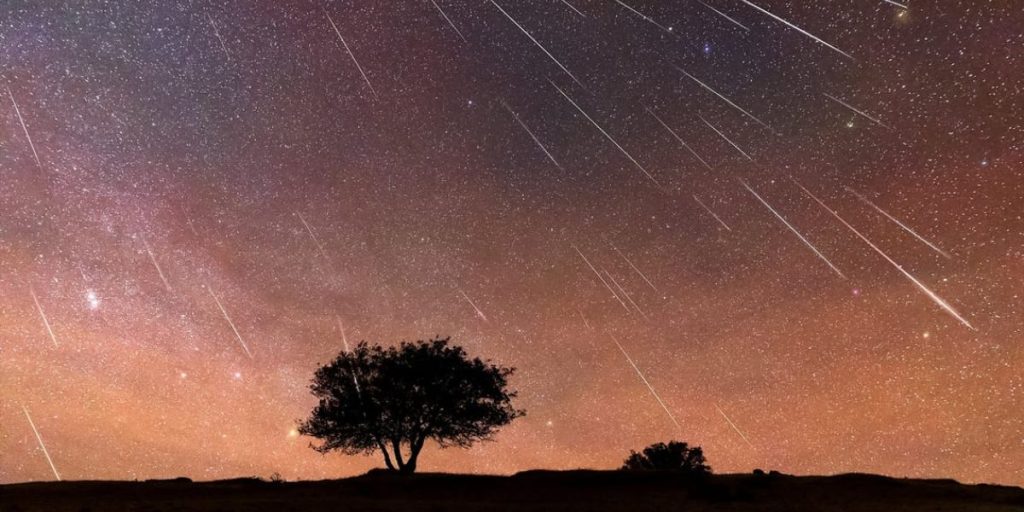 Texas Meteor Shower Schedule for August 2025: Peak Dates, Best Times ...
