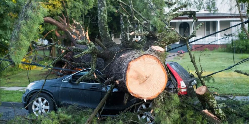 Three Killed by Falling Trees as Violent Storms Slam New Jersey, State ...