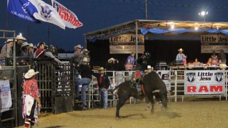 Adams County Fair 2025 Admission Info, Full Schedule and Grandstand ...