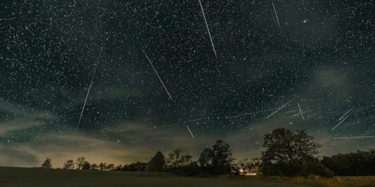 Alabama Perseid Meteor Shower - Skies to Sparkle in August 2025 - The ...