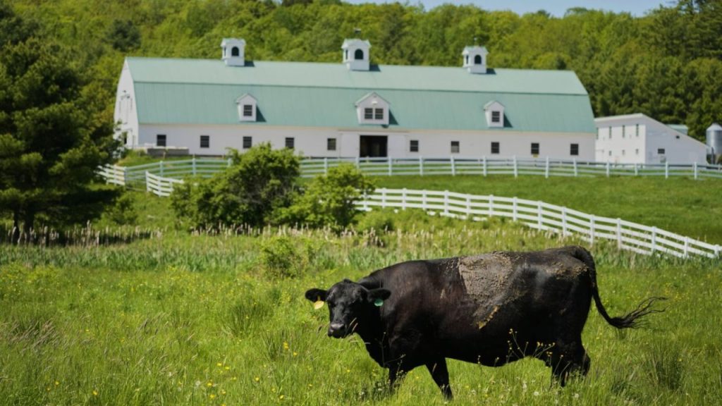 OSHA Launches Probe After Six Workers Die in Colorado Dairy - The Sagonline