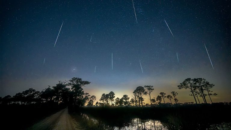 Perseids in New Hampshire (2025) Peak Night, Best Viewing Sites, and ...