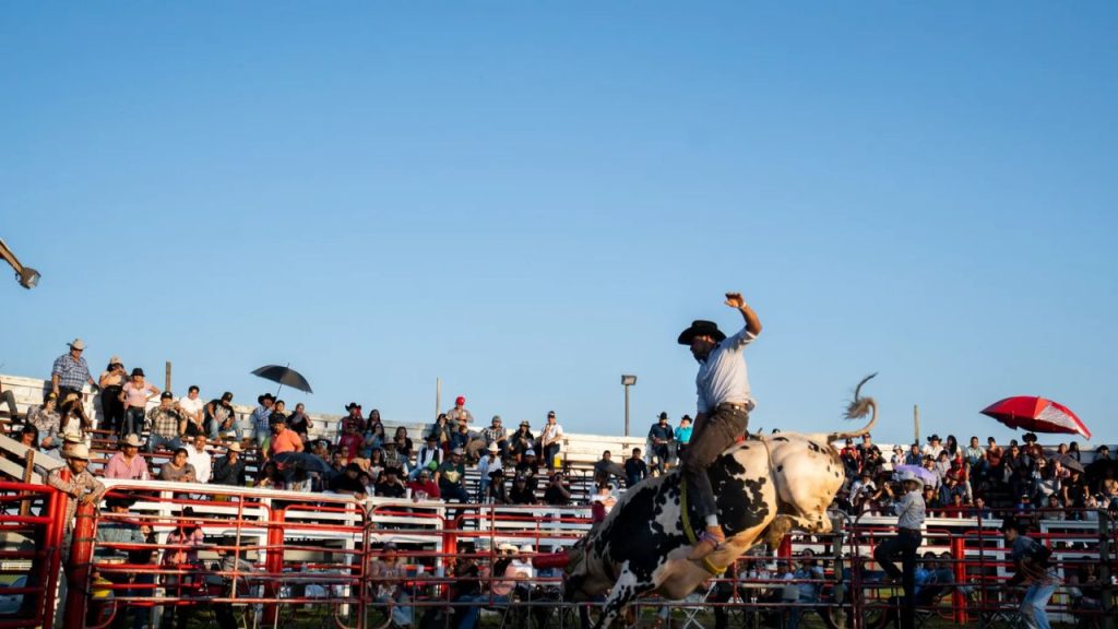 Valencia County Fair Brings Tradition, Rodeo, and Family Fun to New ...