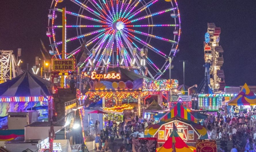 Clare County Fair (2025) Fun, Music, Racing, Rodeo, and More - The ...