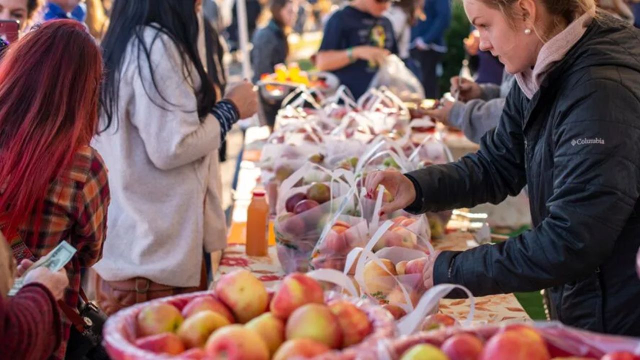 Bend Fall Festival 2025: Full Schedule, Admission Info, and Grandstand ...