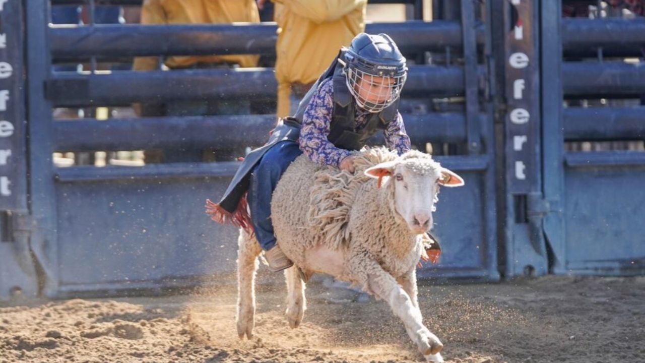 Fresno Fair 2025: Full Schedule, Admission Info, and Grandstand Events ...