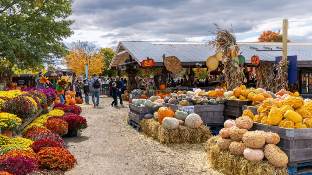 Laurel Fall Festival 2025: Full Schedule, Admission Details, and Family ...