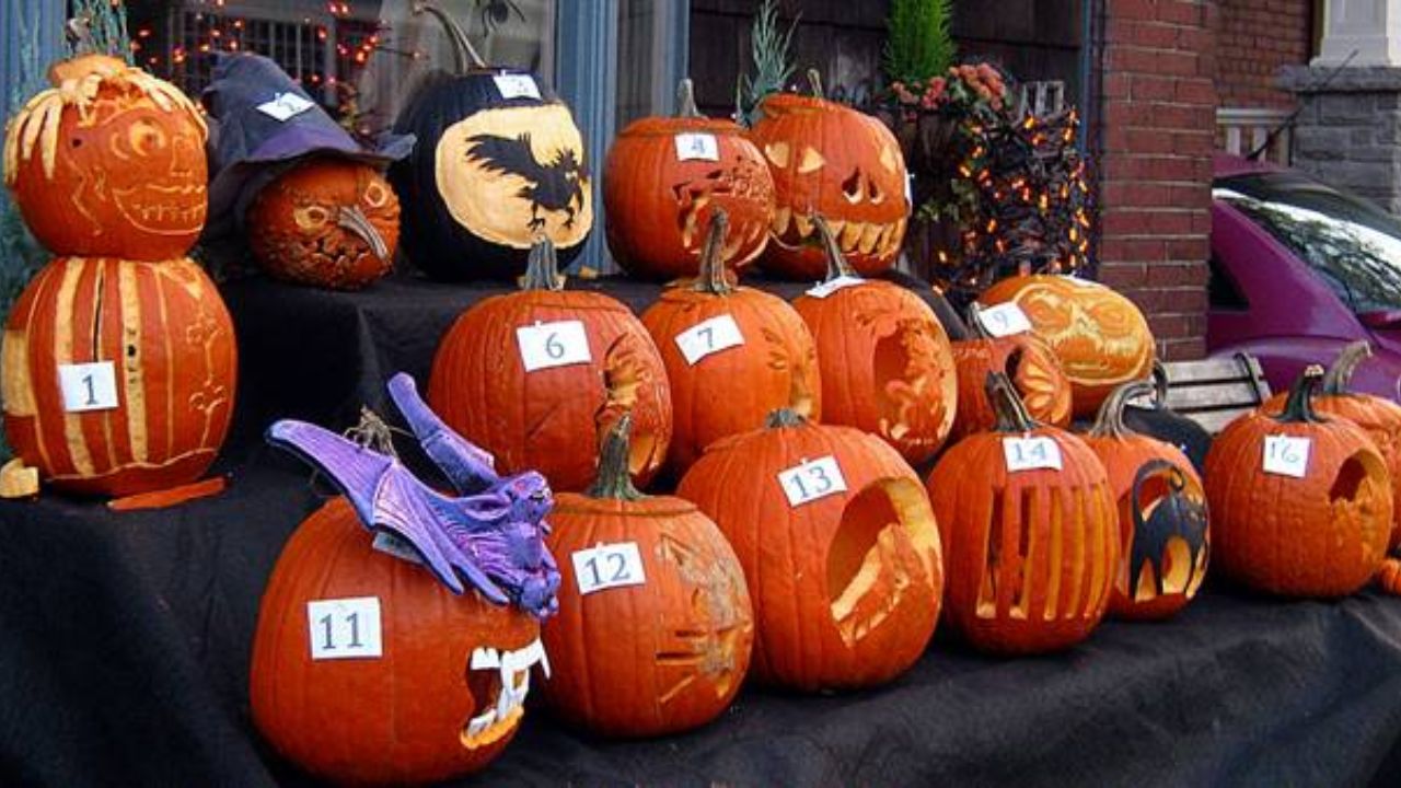 Neosho Fall Festival 2025: Fun, Food, and Entertainment in Missouri ...