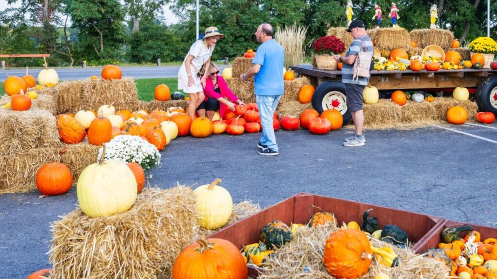 Riverton Fall Harvest Festival and Fair 2025: Full Schedule, Admission ...