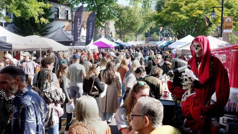 Suffern Fall Street Festival 2025: Date, Schedule, and Family Fun in ...