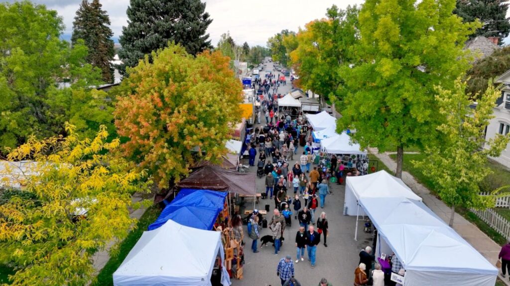 Townsend Fall Fest 2025: Full Schedule, Admission Info, and Grandstand ...