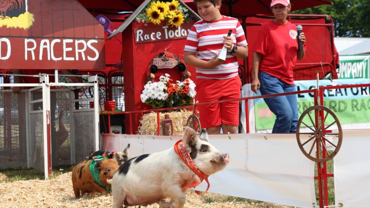 Vernon County Fair 2025: Full Schedule, Admission Info, and Grandstand ...