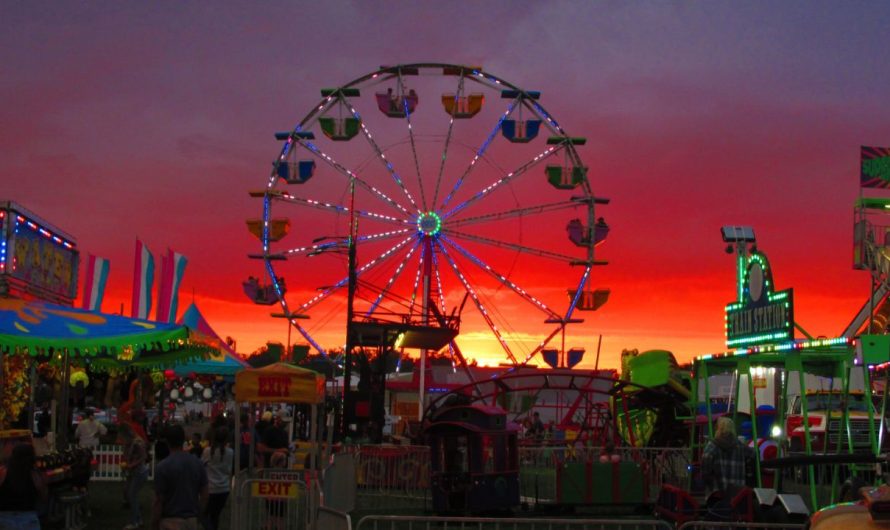 Colorado State Fair 2025: Full Schedule, Admission Info, and Grandstand ...