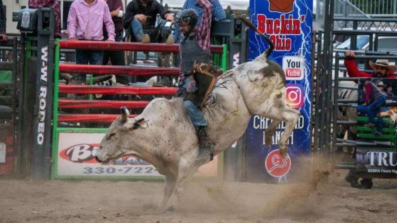 Austin County Fair 2025: Full Schedule, Admission Info, and Grandstand ...