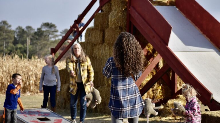 Carters Fall Festival 2025: Full Schedule, Rides, Food, Shopping and ...