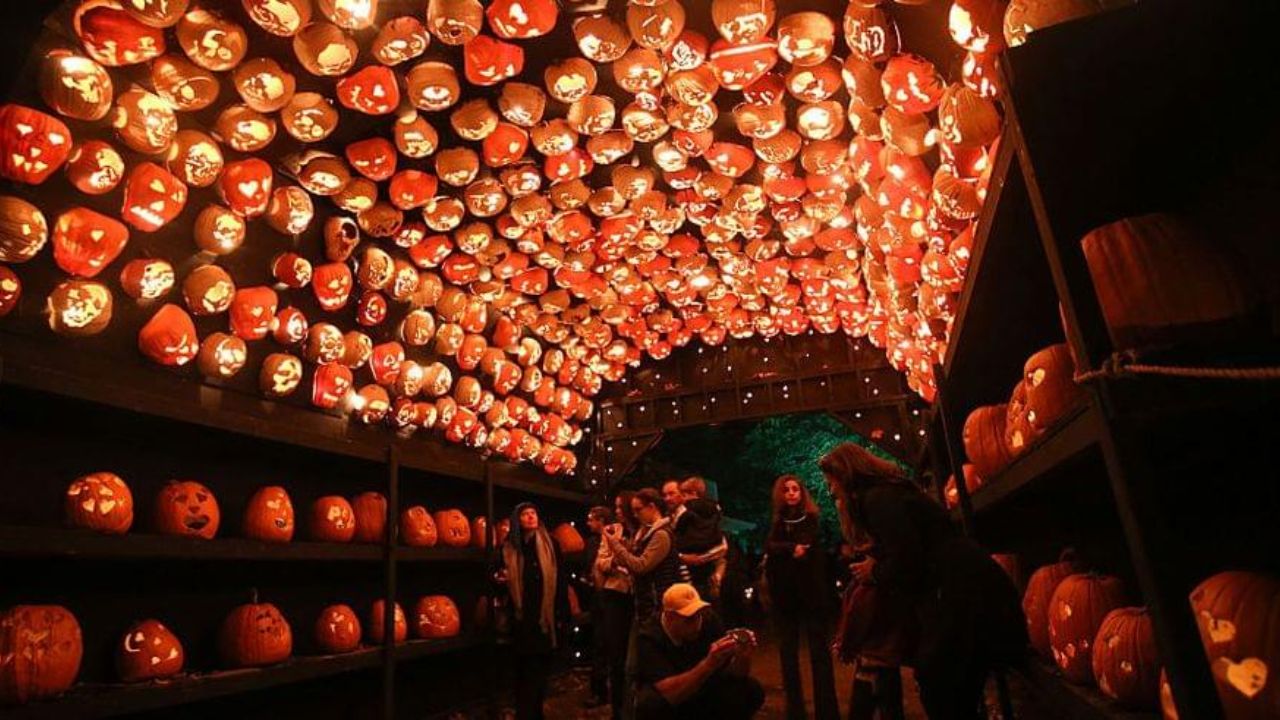 Central City Fall Festival 2025: Full Schedule, Admission Info, and ...