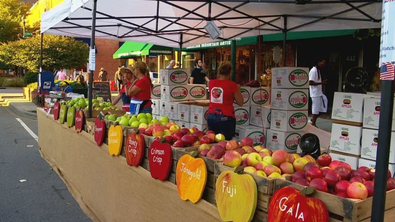 Cookeville Apple Festival 2025: Full Schedule, Admission Info, and ...