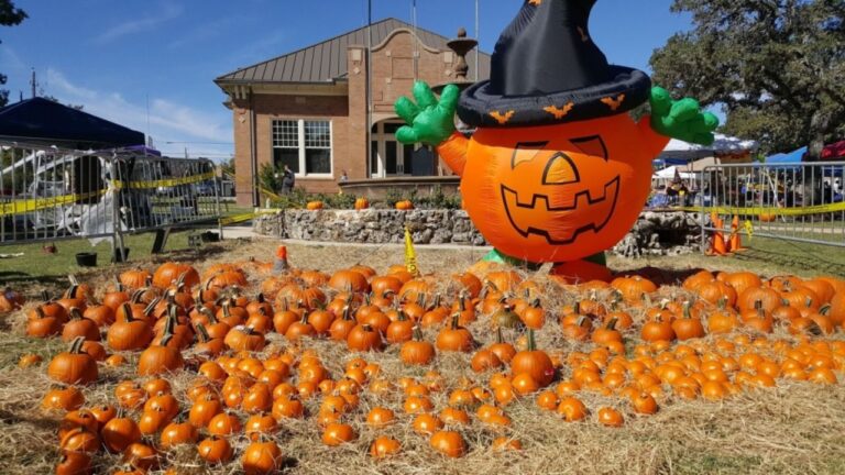 Covington Fall Festival 2025: Schedule, Venue, Kids’ Rides, and What to ...