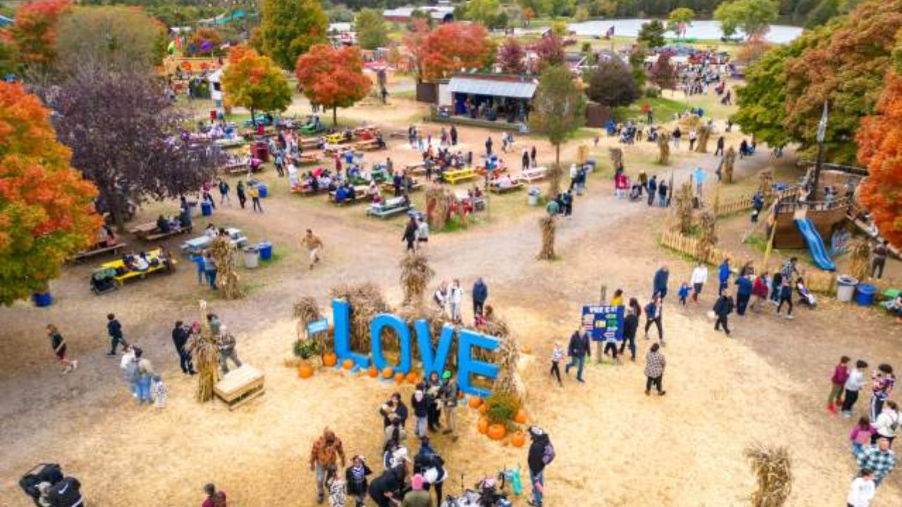 Covington Fall Festival 2025: Schedule, Venue, Kids’ Rides, and What to ...
