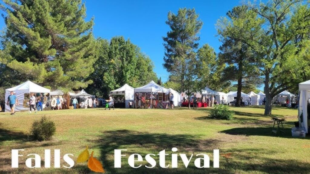 Patagonia Fall Festival 2025: Full Schedule, Admission Info, and Family ...