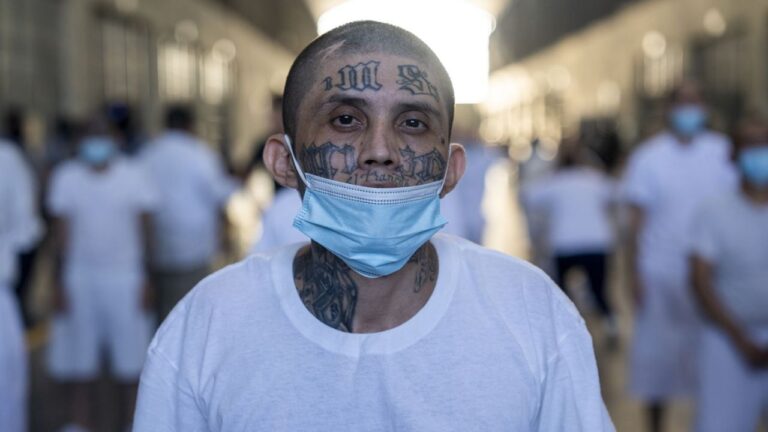 Florida’s Five Most Dangerous Gangs and Their Rising Influence - The ...