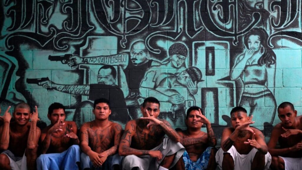 Florida’s Five Most Dangerous Gangs and Their Rising Influence - The ...