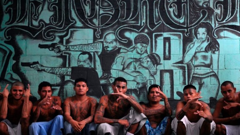 Florida’s Five Most Dangerous Gangs and Their Rising Influence - The ...