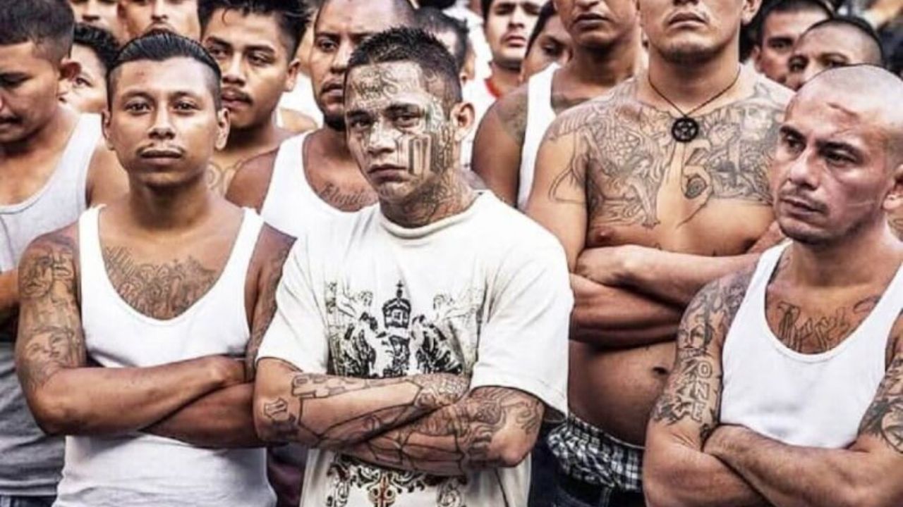 The 5 Most Dangerous Gangs in Maryland and Their Rising Influence - The ...