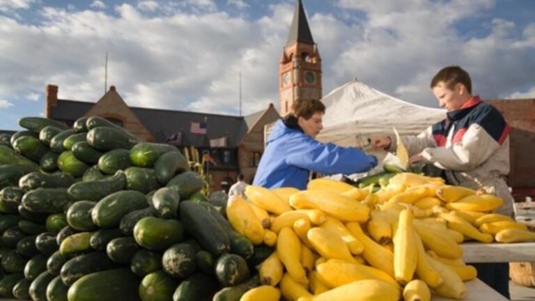 Cheyenne 1st Saturday Farmers Market, WY 2026: Dates, Vendors, Free ...