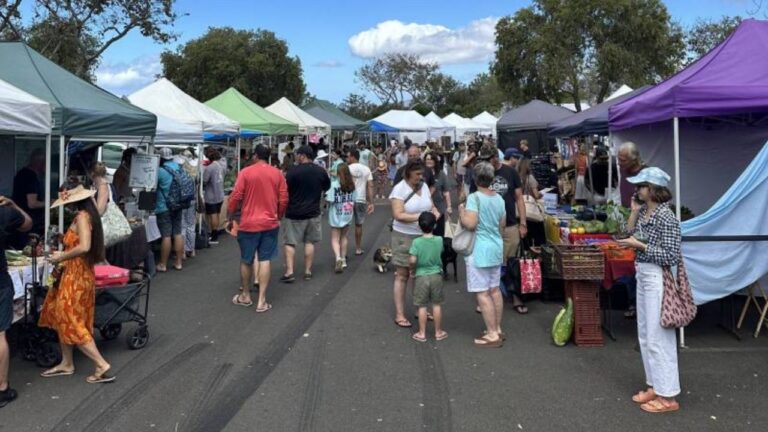 South Maui Outdoor Artisan Market Kihei, Hawaii 2026: Date, Location ...